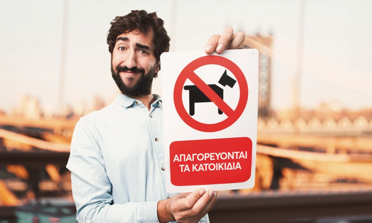Τι ισχύει για την φιλοξενία ζώων συντροφιάς στη πολυκατοικία; Μάθετε τα ...